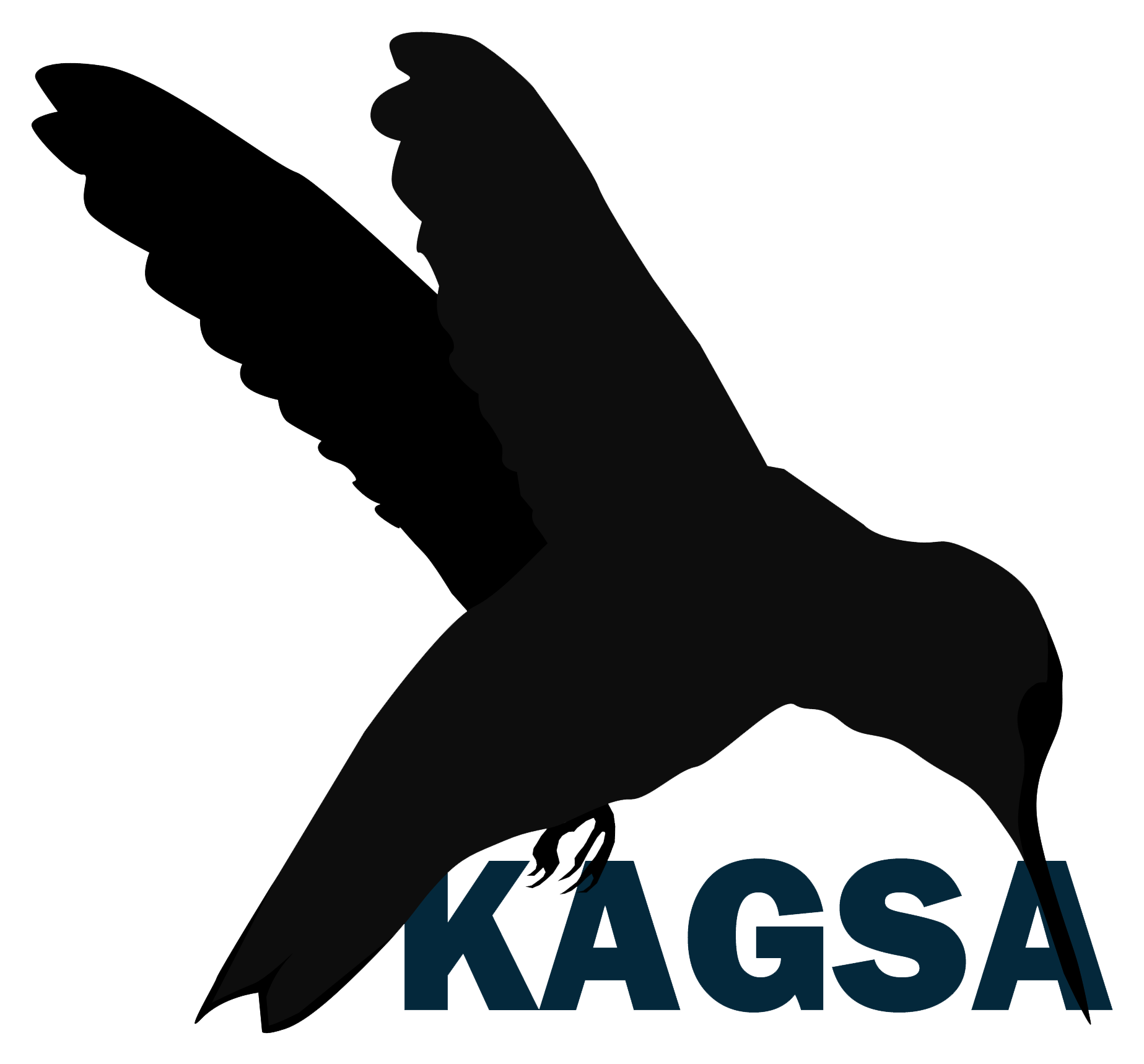 KAGSA Visual Studio Marketplace